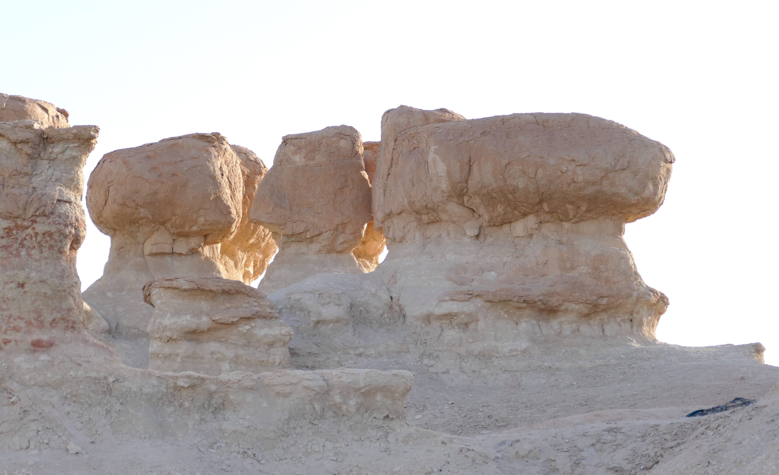 Exploring the Eastern Province of Saudi Arabia - The Lens Cap Chronicles